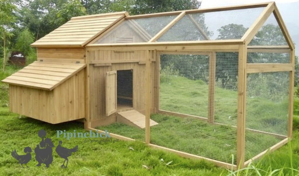 Large Wooden Chicken Coop & Run 4-10 Hens | Pipinchick