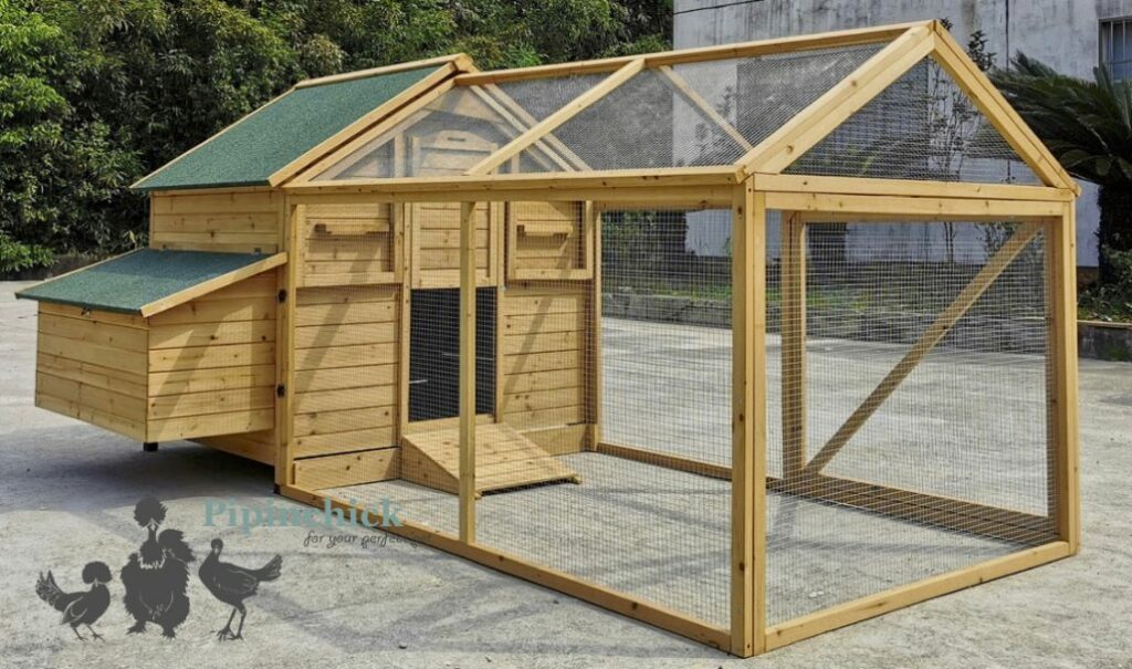 Large Wooden Chicken Coop & Run 4-10 Hens | Pipinchick