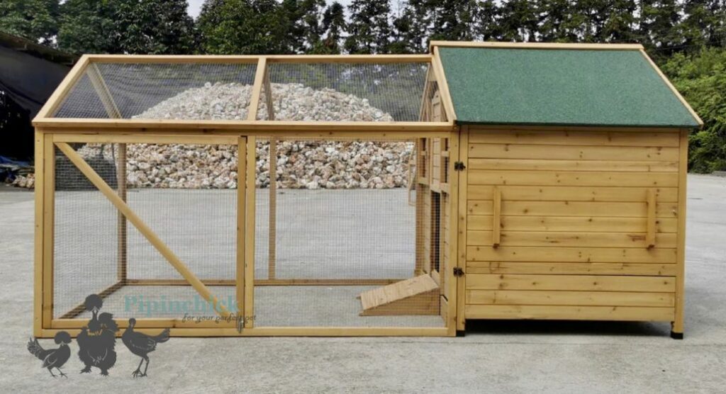Large Wooden Chicken Coop & Run 4-10 Hens | Pipinchick