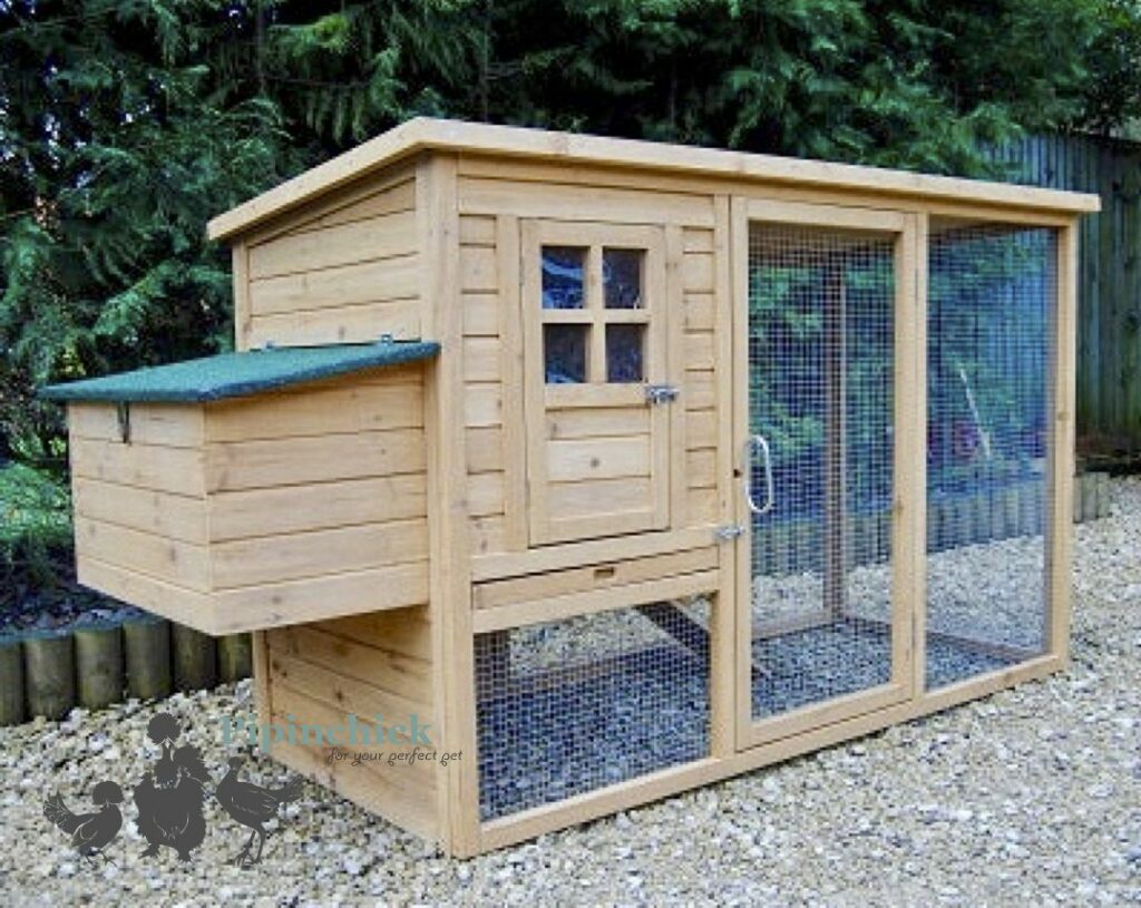 Starter Wooden Hen House & Run 2-4 Hens | Pipinchick