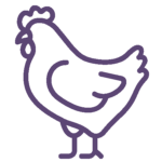 Bantam Sablepoot Chickens for Sale | Buy Booted Bantams | UK